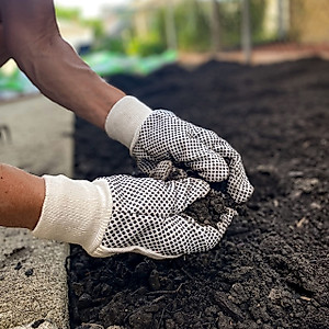 Wells Lamont Canvas Work Gloves, Economy Dotted, 6 Pair Pack (309K) , White