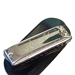 WAAZVXS Diatonic Harmonica 10 Holes 20 Note Blues Harp Key C ABS Comb Brass Reeds Musical Instruments (Color : Key A)