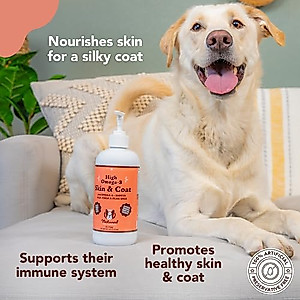 Natural Dog Company Skin & Coat Oil (16 oz.), Supports Skin Health, Fish Oil Supplements for Dogs, Soft and Silky Coat, Salmon Oil & Flaxseed Oil, Fatty Acids, Bottle of Dog Fish Oil with Pump
