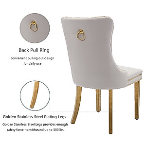 Shenyon Beige Velvet Dining Chairs Set of 6, Upholstered Dining Room Chairs with Back Ring Pull Trim and Golden Stainless Steel Legs,Modern Kitchen Chairs for Dining Room,Living Room,Kitchen(Beige)