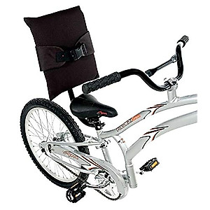 Trail-A-Bike Back Rest