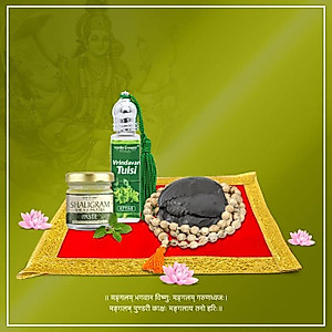 Vedic Vaani Garuda Vishnu Shaligram Shila (Pack of 4)