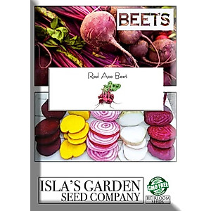 Red Ace Beet Seeds, 100 Seeds Per Packet, Non GMO Seeds Scientific Name: Beta vulgaris, Isla's Garden Seeds