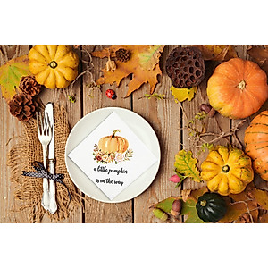 A Little Pumpkin is On The Way Napkins, He or She Pumpkin Napkins, A Little Pumpkin is On The Way Baby Shower, Boy Girl Little Pumpkin Baby Shower Gender Reveal Party Decorations (5 x 5 In, 50-Pack)