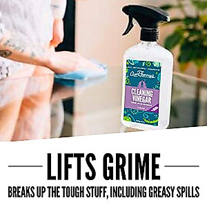 Aunt Fannie's All Purpose Cleaning Vinegar, Multisurface Spray Cleaner, 16.9 Ounces, Lavender Scent (Pack of 1)