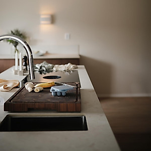 mushie Fresh Food Feeder Freezer Tray with Lid for Frozen Baby Food | 9 Cups x 0.5 oz | BPA Free Storage Container (Blush)