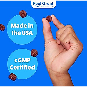 Feel Great Kids Elderberry Gummies with Zinc and Vitamin C | Kids Immune Support Sambucus Elderberry Gummies | Berry Flavored Vegan Kids Multivitamins | 90 Day Supply