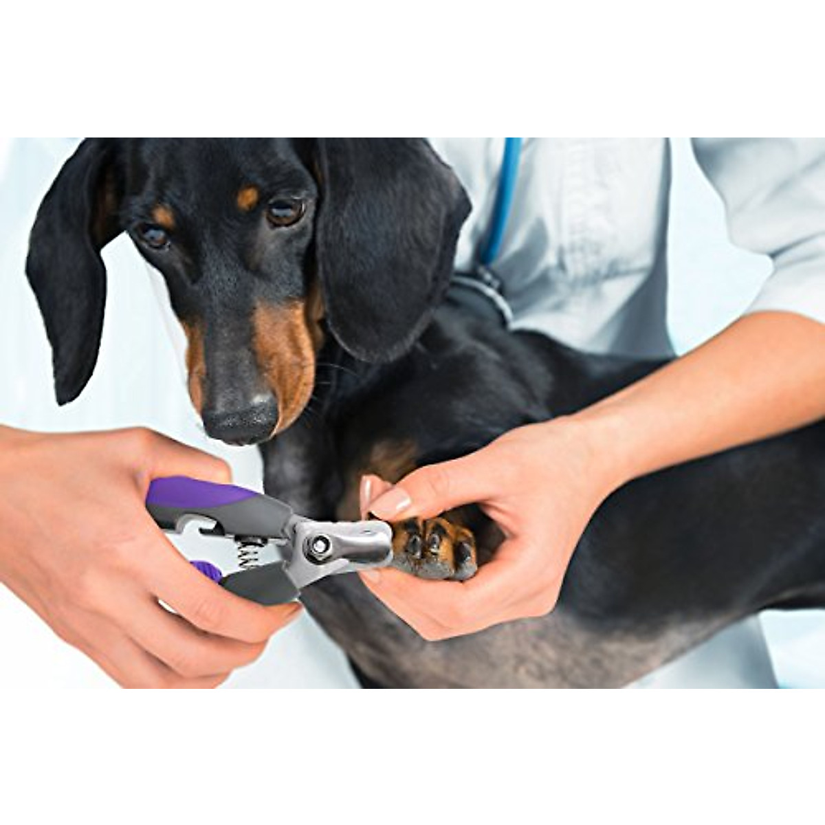 Hertzko Dog Nail Clippers for Large & Medium Dogs - Violet Cat Nail Clipper with Quick Safety Guard, Dog Nail File Included, Nail Grinder, Purple Nail Clippers for Dogs, Grooming Paw Pads
