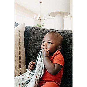 Copper Pearl Baby Security Blanket Set of 2 - Portable Size for Self-Soothing On-The-Go, Ideal Baby Blankets for Boys and Girls, Ultra-Soft, and Gift-Ready Loveys - Trout