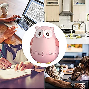 Cartoon Timer Kids Cute Kitchen Timer 60-Minute Timer Animal Reminder No Batteries for Study Work Exercise Home Desktop Decor (Dinosaur-Green)