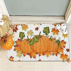 Alishomtll Fall Kitchen Mats for Floor, Set of 2 Autumn Pumpkin Kitchen Mats, Autumn Home Decor Kitchen Rugs for Fall, Thanksgiving, 17x30 and 17x47 Inch