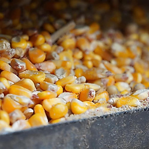 Backwoods Premium Wildlife Products Magic Meal Apple Attractant - 5.5 lb. Bag