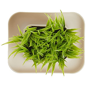 Kikkerland Potted Pen Phone Stand (SC25)