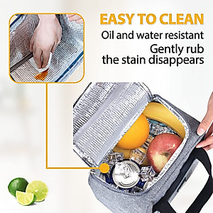 IRONBADGE Insulated Reusable Lunch Bag for Women/Men: Waterproof, 9L, Grey, Work/Picnic/Camping