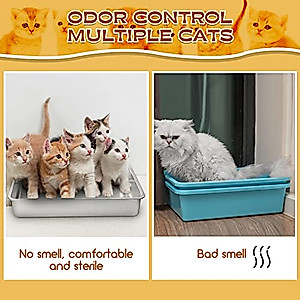 2 Pcs Stainless Steel Litter Box Rust Proof Metal Cat Box Stainless Cat Litter Box Odor Control Small Litter Box and Non Slip Rubber Feet for Cats Kitten Non Stick Smooth Surface (24 x 16 x 4 inch)