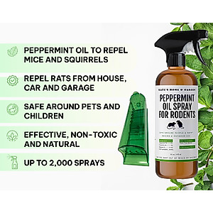 Kate's Home & Garden Peppermint Oil Spray for Rodents, Mice, Squirrels with Humane Trap. Rodent Repellent Indoor for Car Engines & Outdoor (16oz, Non Toxic)