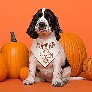 4 Pieces Thanksgiving Dog Bandanas Fall Autumn Dog Bandana Holiday Dog Bandana Dog Costume Bandanas for Dogs Reversible Triangle Bibs Scarf for Small Medium Large Dogs Pets (Medium)