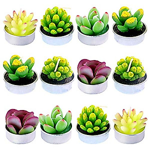 Swpeet 12Pcs Decorative Succulent Cactus Tealight Candles Kit, Cute Smokeless Succulent Plants Perfect for Candles Festival Wedding Props and House-Warming Party (N0.4-Candle)