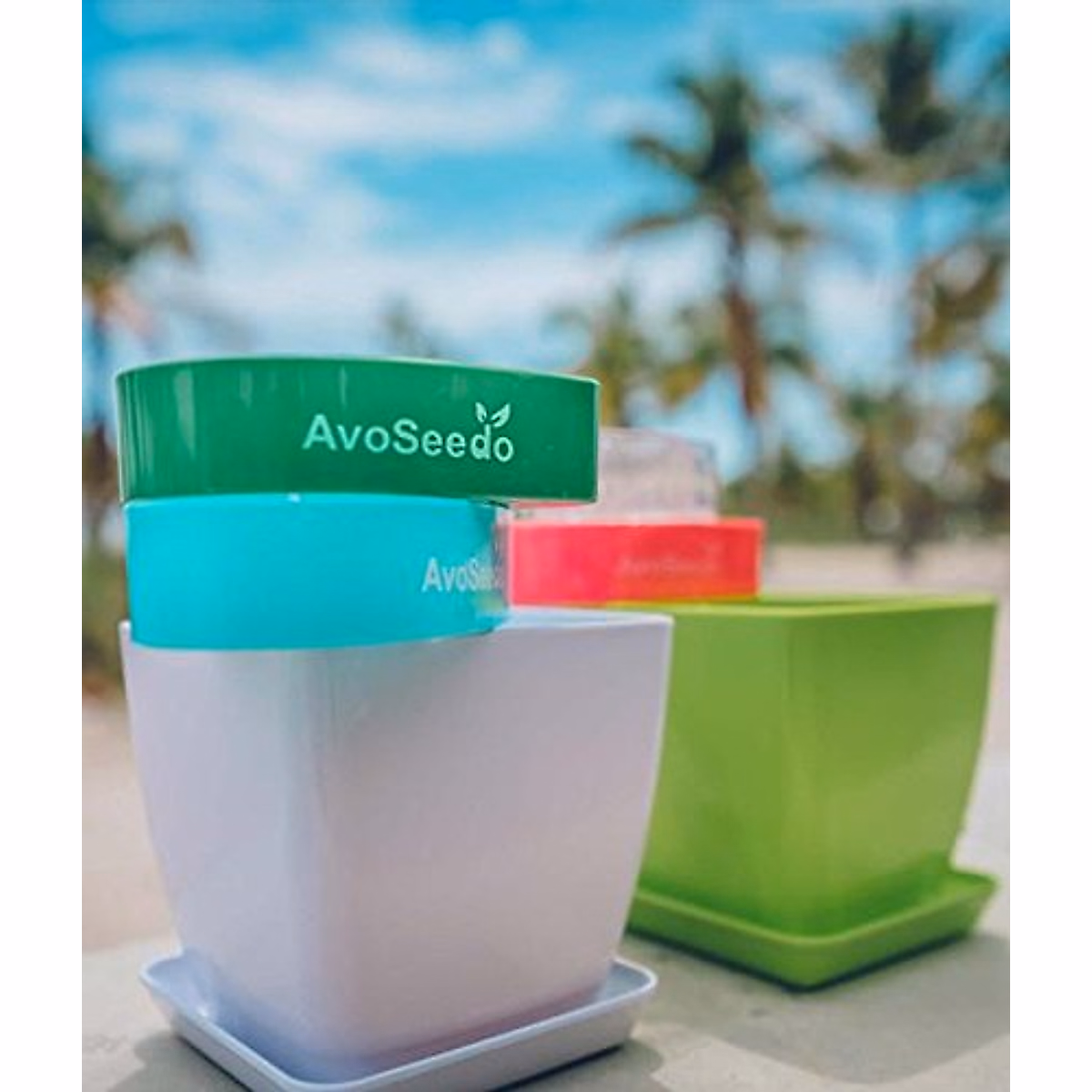 AvoSeedo Avocado Tree Growing Kit with Pot, Green & White, Practical Gifts for Women, Mom, Sister, Best Friend & Kids, Plant Indoors with Novelty Pit Grower Boat & Kitchen Garden Seed Starter