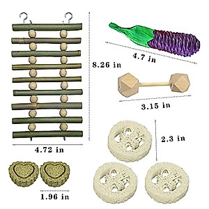Hamster Guinea Pig Chew Toys, Hamster Rat Gerbil Mice Toys with Climbing Ladder and Hideout, Hamster Exercise Accessories for Syrian Dwarf Hamsters