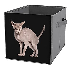 Hairless Sphynx Cat Collapsible Storage Bins Basics Folding Fabric Storage Cubes Organizer Boxes with Handles