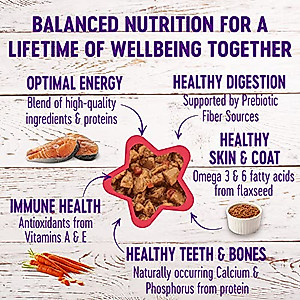 Wellness Complete Health Natural Grain Free Wet Canned Cat Food, Minced Salmon Entree, 3-Ounce Can (Pack of 24)