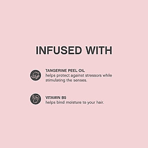 KEVIN.MURPHY BODY.BUILDER - Hair Volumising Mousse - For All Hair Types - Weightless & Sulphate-Free Hair Mousse - Hair Care Treatment - With Tangerine Peel Oil - 100 mL / 3 fl oz