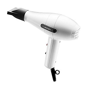 Elchim 2001 High Pressure Hair Dryer - white , 1 Count (Pack of 1)