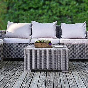 Hallmark Flowers Succulent Garden In 10-Inch Wood Trough