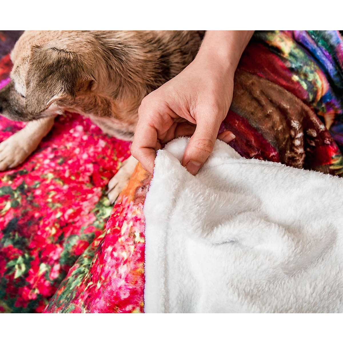 Disney Encanto Family Portrait Silk-Touch Fleece Throw Blanket With Blue Sherpa Backing | Plush Soft Polyester Cover For Sofa and Bed, Cozy Home Decor, Luxury Room Essentials | 50 x 60 Inches