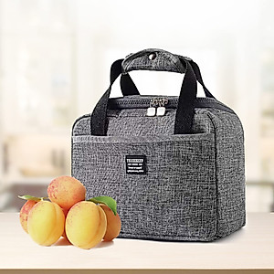 IRONBADGE Insulated Reusable Lunch Bag for Women/Men: Waterproof, 9L, Grey, Work/Picnic/Camping