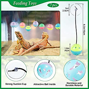 12 Pack Bearded Dragon Accessories Set Bearded Dragon Leash Harness Adjustable Leash Bat Wings with Hat Bow Tie Collar Toys Ball for Bearded Dragon Mesh Hammock for Lizard Reptile Small PET Animal