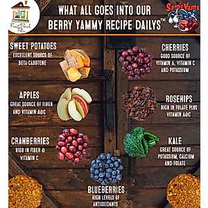 Sams Yams Sweet Potato Dog Treats, Healthy Dog Treats for Large, Medium or Small Breed Dogs, Vegan Sweet Potato Dog Chews Made in USA - Sam's Yams DAILY's Berry Yammy Recipe Dog Snacks, 7oz