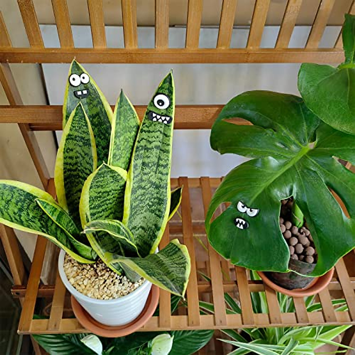 HOMDSG Monster Plant Magnets Eyes for Potted Plants, Funny Plant Safe Magnet Pins Charms, House Plant Accessories, Halloween Decorations for Plant Lovers