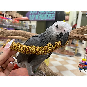Birds LOVE Economy & Thin Special Spray Millet GMO-Free (No Stems Only Edible Tops) for Birds Cockatiel Lovebird Parakeet Finch Canary All Parrots Healthy Treat - 7oz