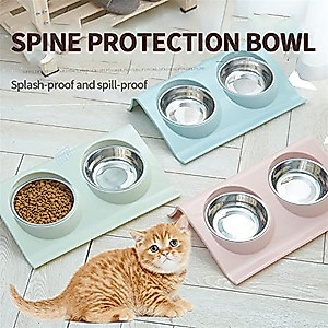 FUUIE Bowls for Food and Water Cat Bowl Double Bowl Pet Stainless Steel Oblique Mouth Rice Bowl Splash-Proof Leak-Proof Cat Food Basin Leak-Proof Water Basin (Color : Blue, Size : Small)