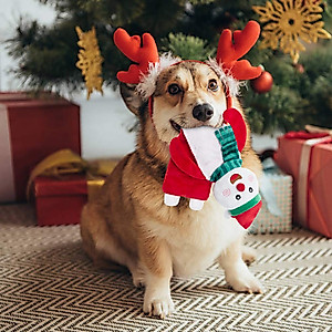 EXPAWLORER Christmas Dog Squeaky Plush Toys 2 Pack - No Stuffing Squeaking Snowman & Penguin Dog Chew Toy Xmas Gifts for Pets