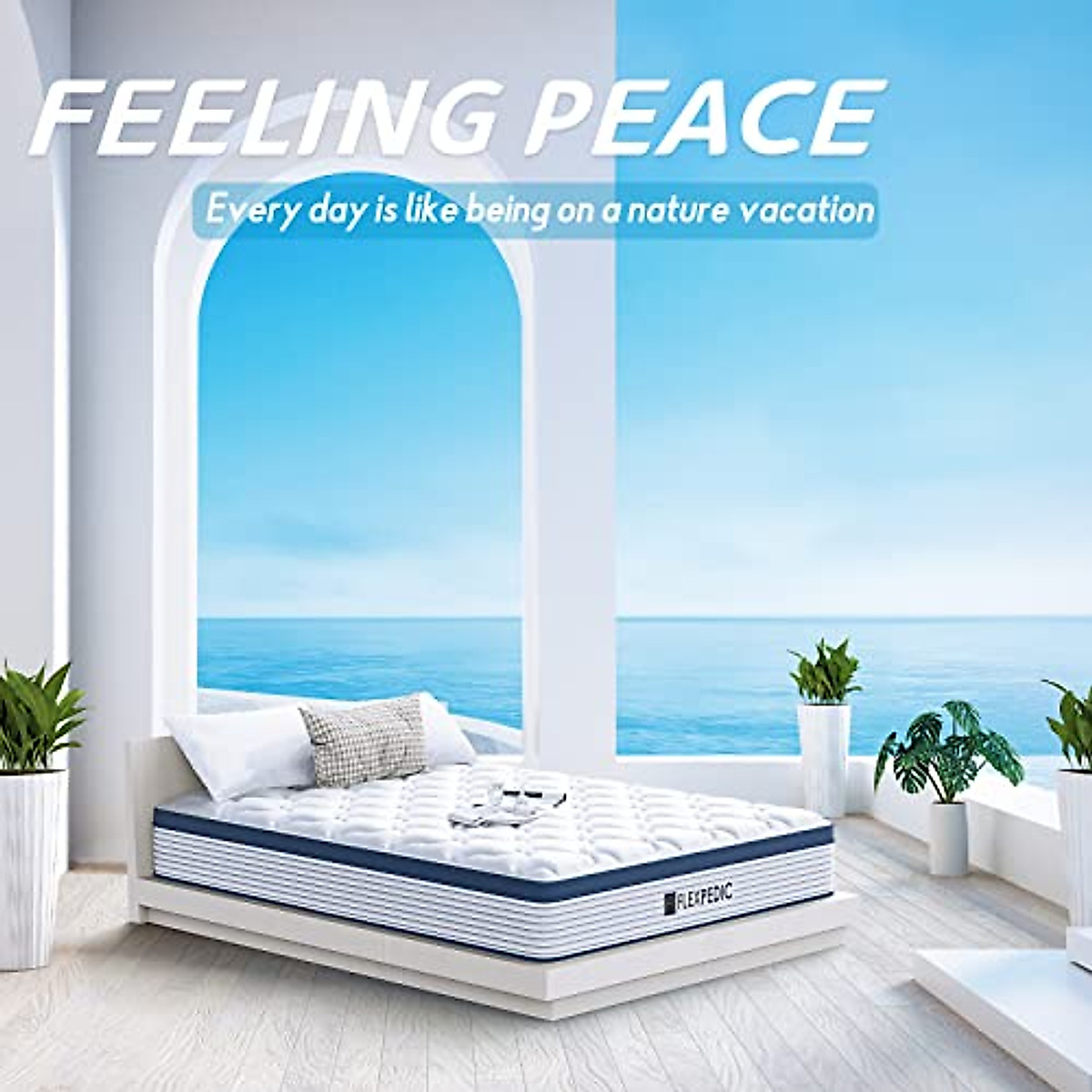 FLEXPEDIC Deep Sleep Queen Mattress 10 Inch in A Box, Cloud Euro Top Soft Hybrid Mattress Made in USA, Memory Foam Pocket Innerspring Mattresses, CertiPUR-US Certified