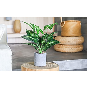 WUKOKU 16" Small Fake Plants Artificial Potted Faux Plants Desk Plant for Home Office Farmhouse Kitchen Shelf Indoor Decor