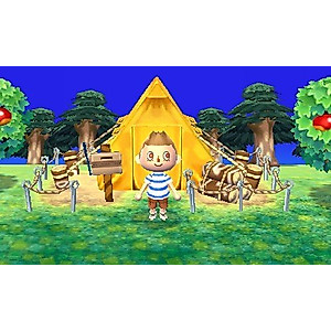 Animal Crossing: New Leaf (Renewed)