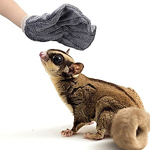 2 Pcs Sugar Glider Bonding Mitt, Calming Sleeping Glove, Bite Proof Animal Handling Gloves, Hedgehog Accessories Calming Glove for Train Your Sugar Glider Small Animals Hamster Rats Pet (Gray)