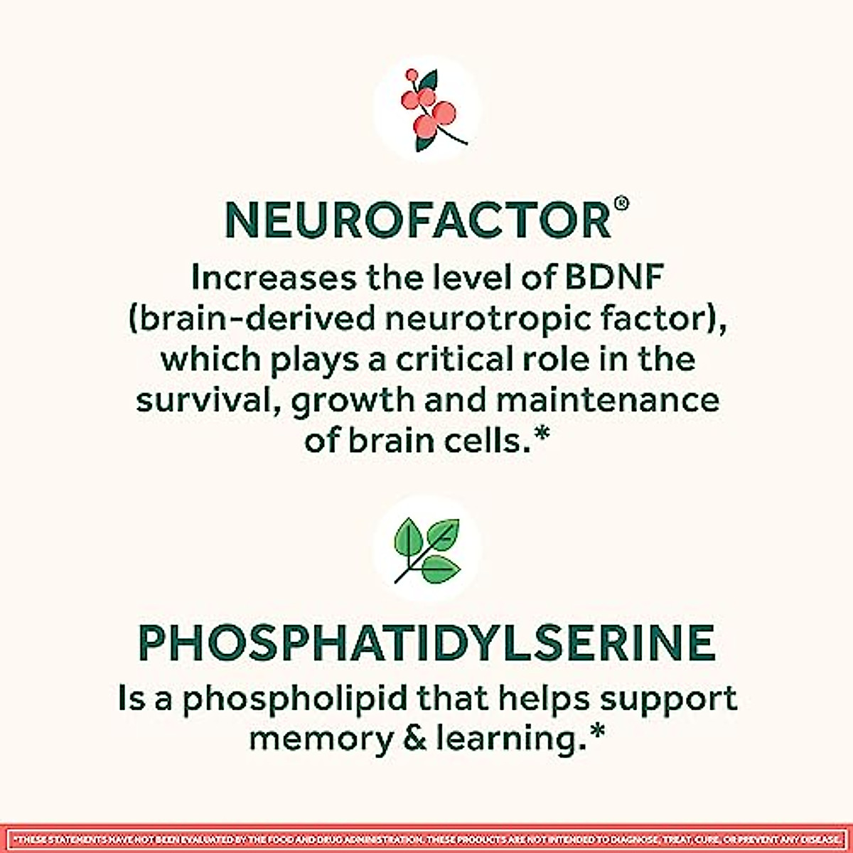NEURIVA Brain Supplement for Memory & Focus with Phosphatidylserine & Neurofactor, Caffeine-Free Gummies