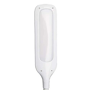 Syrinx Floor Lamp, Floor LED Lamp / LED Light Lamp / Remote Control & Touch / Adjustable Flexible Gooseneck (White)