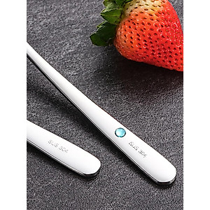 Csinos 304 Stainless Steel Spoon Shell Shape Flatware Spoon Dessert Spoon Set of 6