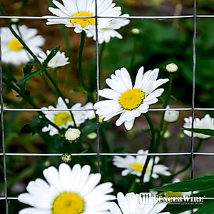 Fencer Wire 16 Gauge Galvanized Super Rabbit Guard Garden Fence, Welded Wire Fence for Preventing Rabbits, Dogs, Cats, Chickens, and Other Small Animals from Damaging The Garden (24 in. x 50 ft.)