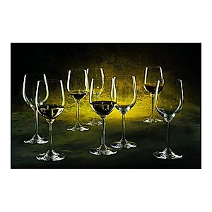 Riedel Wine Series Viognier/Chardonnay Glass, Set of 4 Bundle with Wine Pourer and Stopper (3 Items)