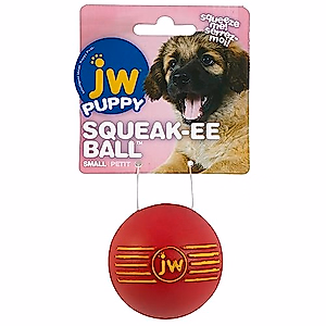 JW Squeak-ee Ball Puppy Toy