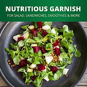 Pickerfresh Pickled Beets, 16 Oz, Pack of 3, 100% Natural and Certificated Crinkle Cut Sliced Beetroot, No Artificial Color, and No Preservatives, Non-GMO, Gluten Free, Kosher, Ready to Eat