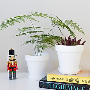 Youngever 8 Pack 5.5 Inch Plastic Planters Indoor Flower Plant Pots, Classic Decorative Gardening Pot with Drainage Holes (White with Saucers)