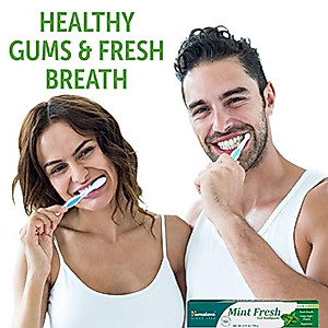 Himalaya Mint Fresh Gel Toothpaste, Fluoride Free to Reduce Plaque & Brighten Teeth, 6.17 oz, 2 Pack
